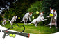 Dog Ball Cannon-toy fetch bazook-9 K-9 kannon-The Exceptional Store